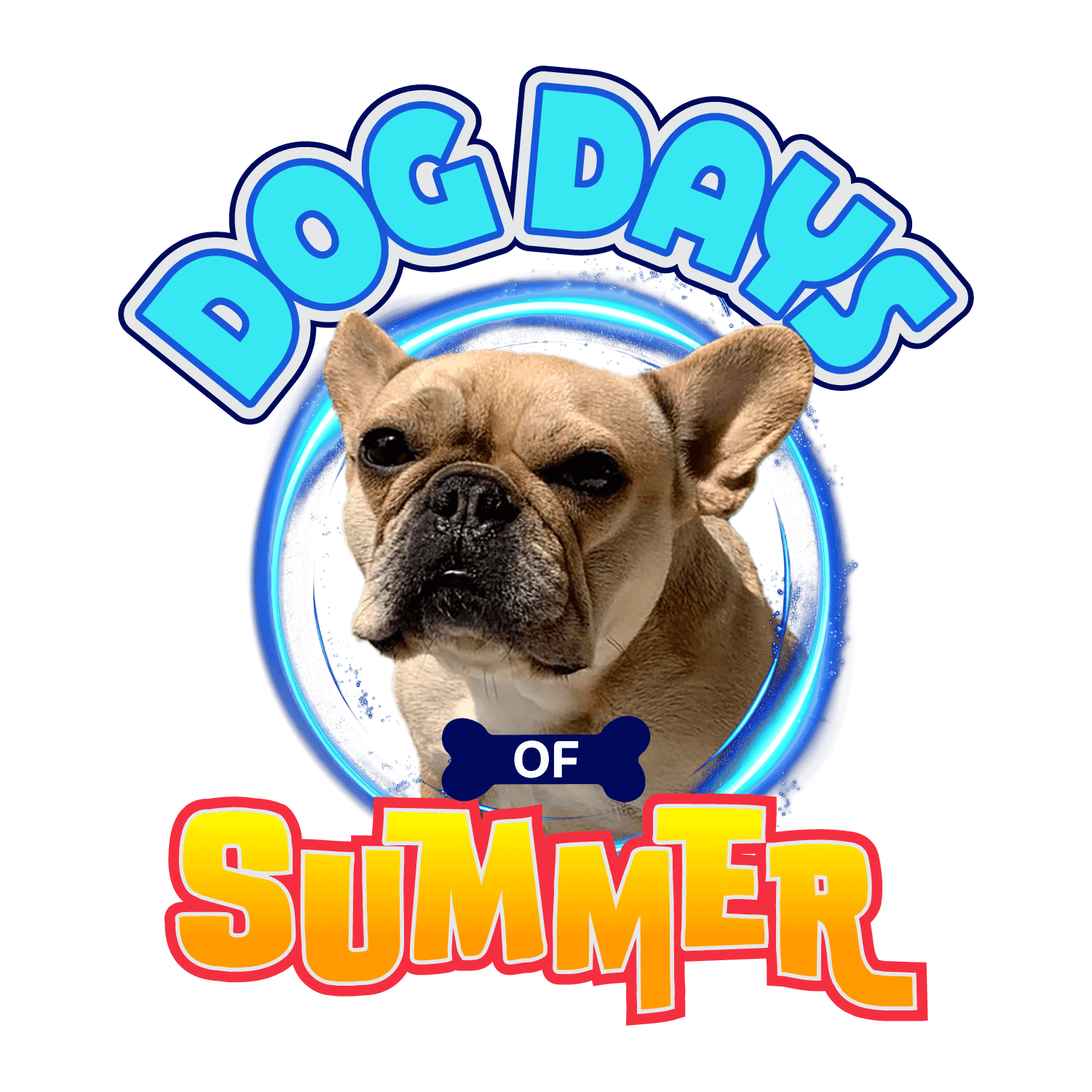 Ford F-150 XLT vehicles - Brandon Ford