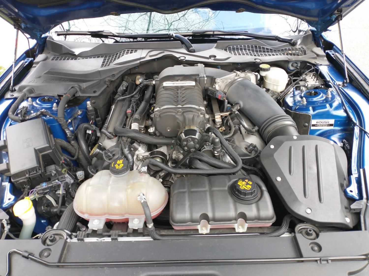 Rare 2017 Ford Mustang GT Roush Warrior Coupe Up For Auction