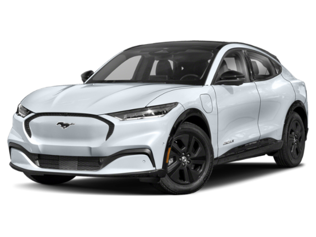 Walker Ford: New & Used Ford Dealership in Clearwater, FL